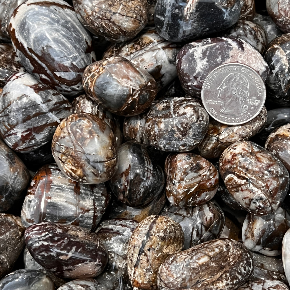 Polished Panther Jasper - 1/2 LB – Twin Rocks and Crystals